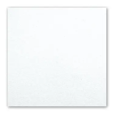 Gyproc® CasoROC™ FB 9mm | Gyproc Thailand