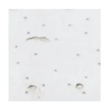 Gyproc® Casoprano CasoMoon 9mm | Gyproc Thailand